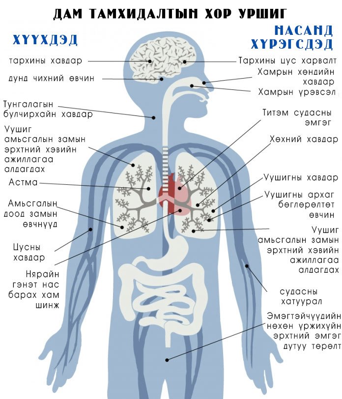 Maamuu · Дам тамхидалт нярайд маш аюултай