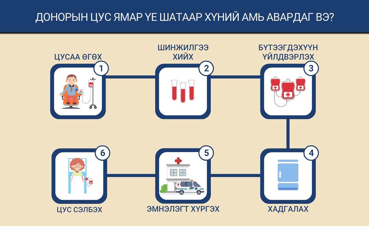 Maamuu · Донорын цус ямар үе шатаар хүний амь авардаг вэ