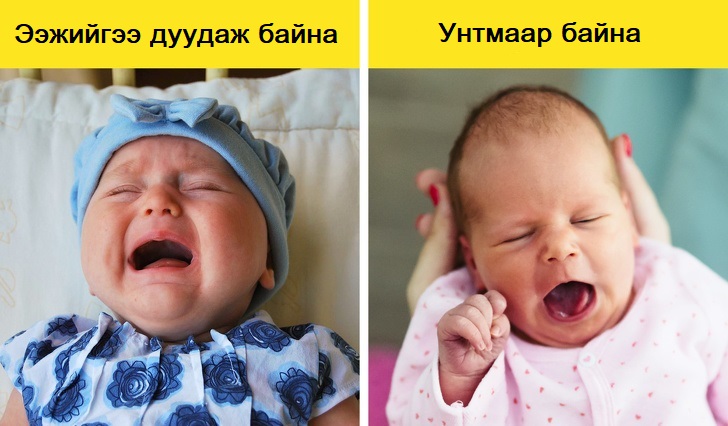 Maamuu · Хэлд ороогүй хүүхэдтэйгээ хэрхэн ойлголцох вэ